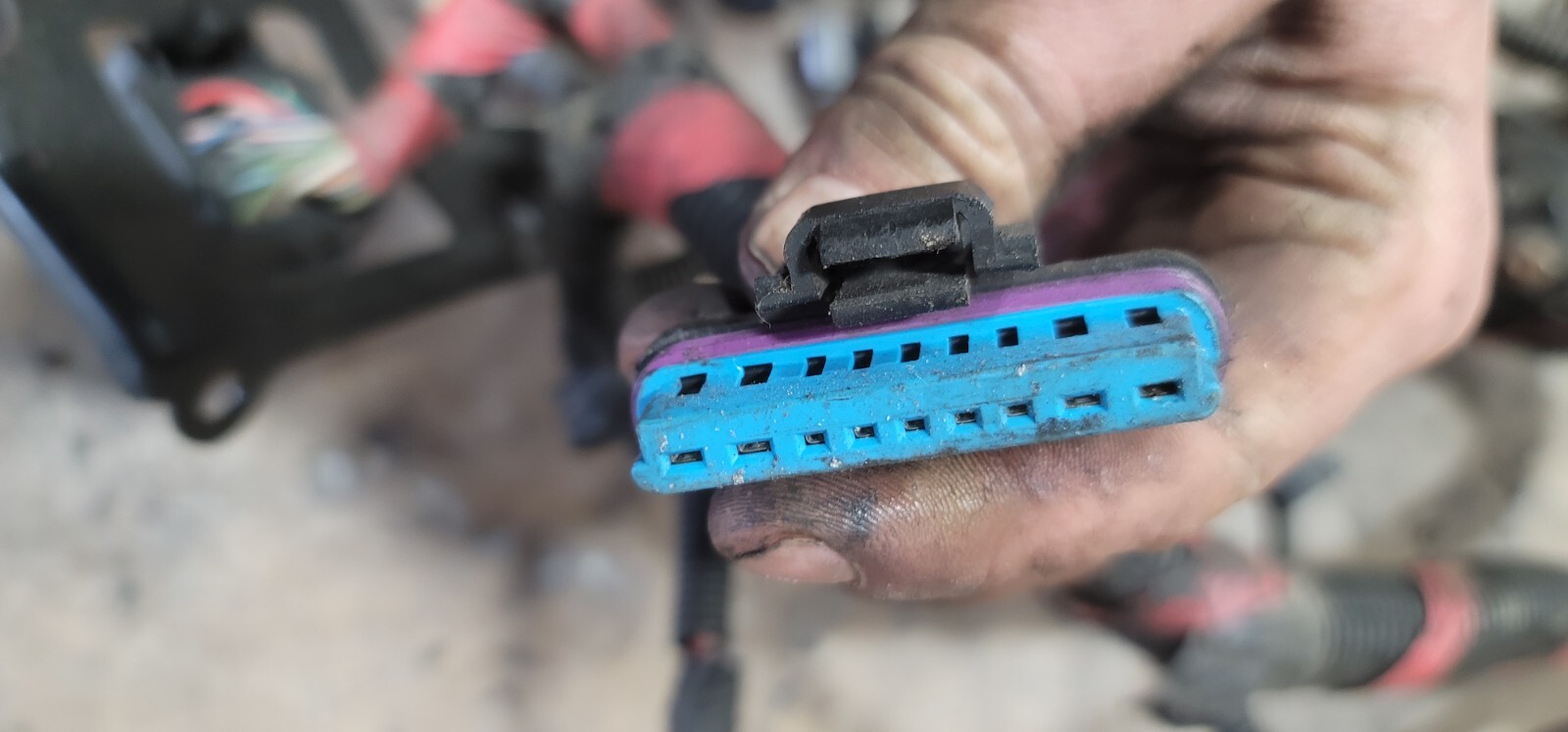 Ford Superduty 7.3 Powerstroke Engine Wiring Harness | OE