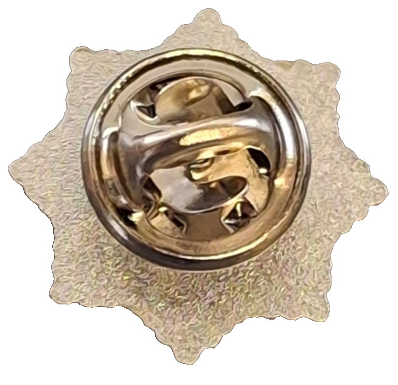 Greater Manchester Fire and Rescue Small Pin Badge - LAST ONE | eBay UK