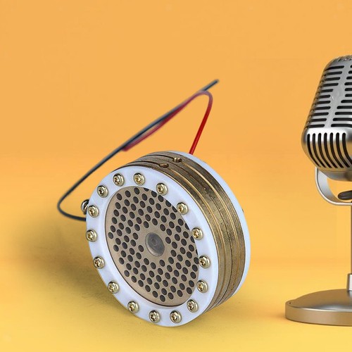 Large Diaphragm Condenser Mic Capsule Gold Plated for Professional ...