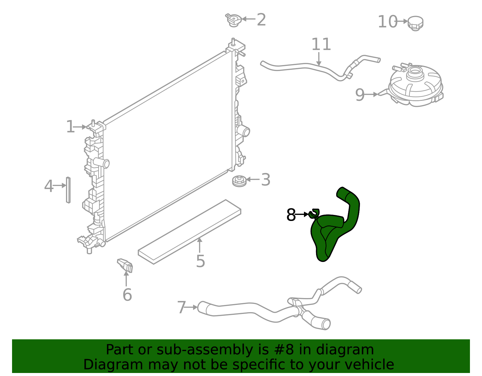 Genuine Ford Lower Hose LX6Z-8286-X for sale online | eBay