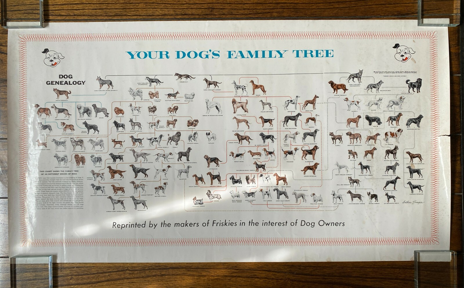 Poster Vintage - Friskies Dog Family Tree (T20) - | eBay