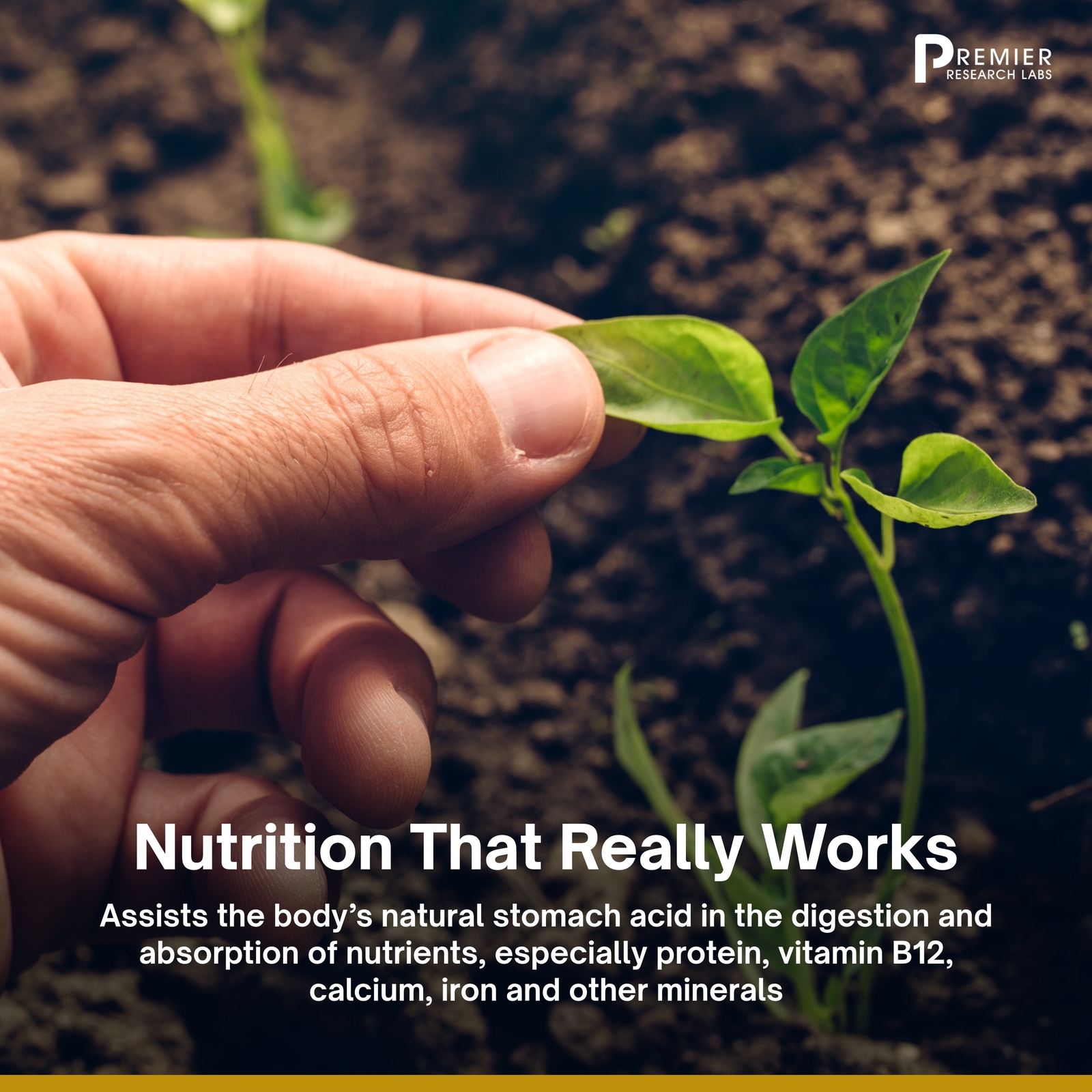 Neuroven by Premier Research Labs - 60 Caps for sale online | eBay