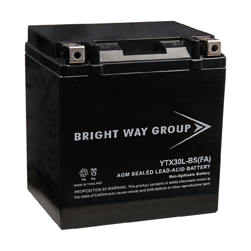 Bright Way Group YTX30L-BS-FA 12V 30AH Sealed Powersport Battery NB ...