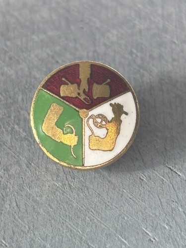 Vintage ARMS Red Green White Enamel Service Pin W/screw Back | eBay