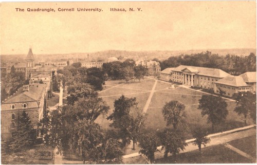 Ithaca New York The Quadrangle Cornell University Vintage Postcard | eBay