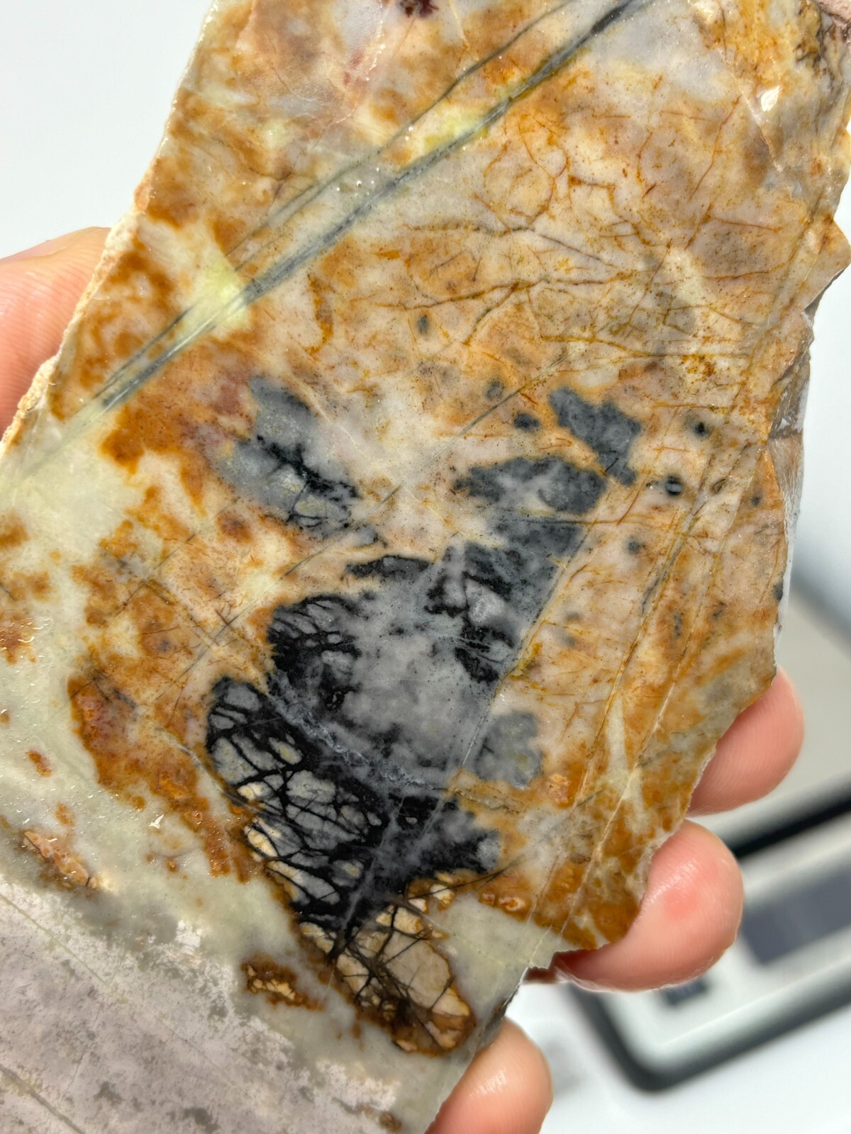 Picasso Marble (Jasper) Slab Cabbing Lapidary Utah Combo Ship Avail | eBay