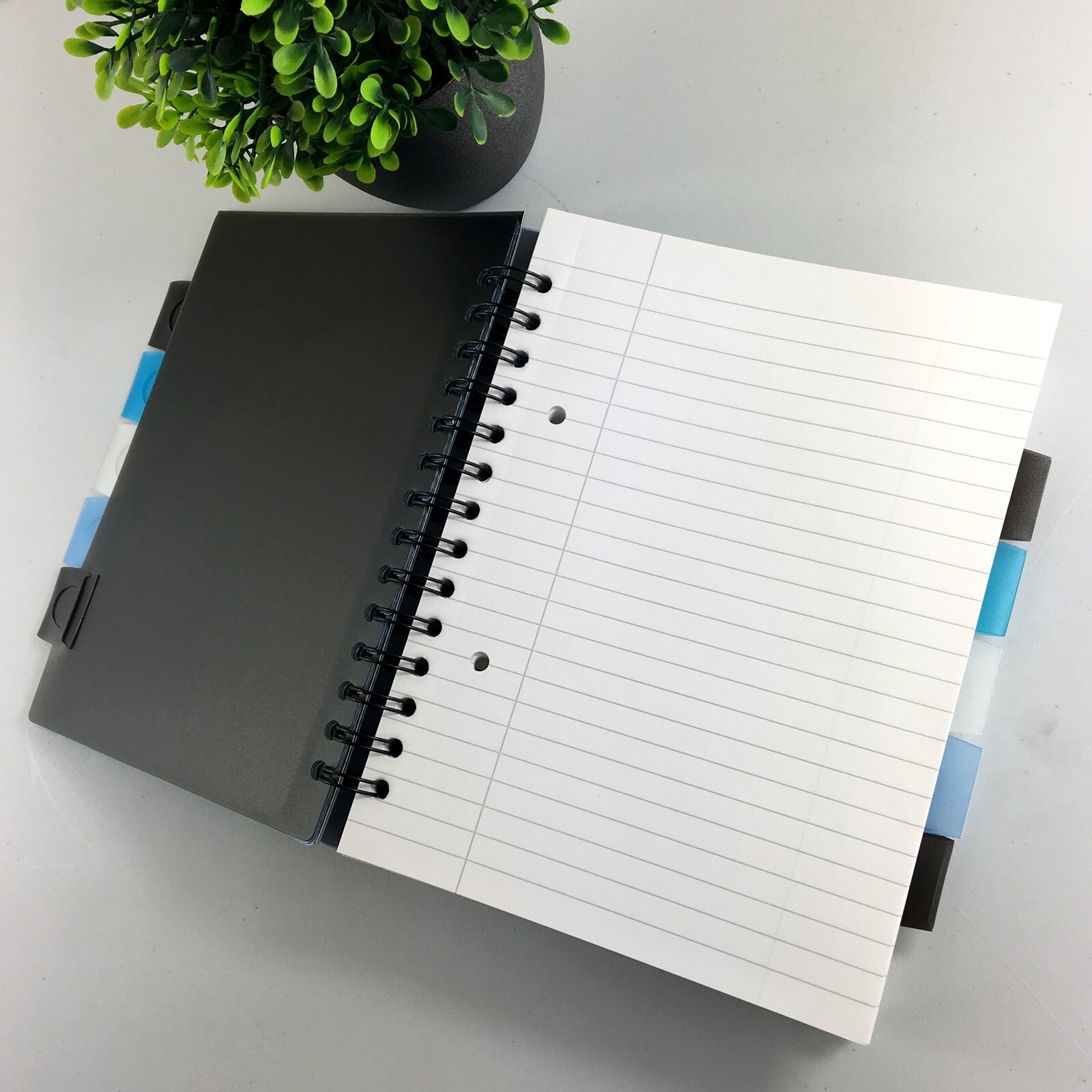 A5 Project Book 5 Subjects Parts Dividers 250 Feint Ruled Margin ...