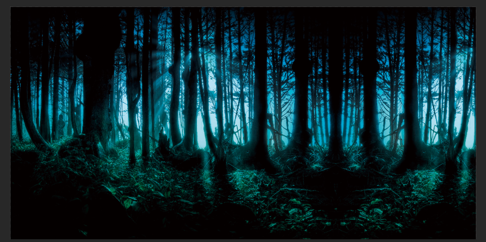 Halloween Spooky Forest Backdrop Horror Night Photo Background Studio ...