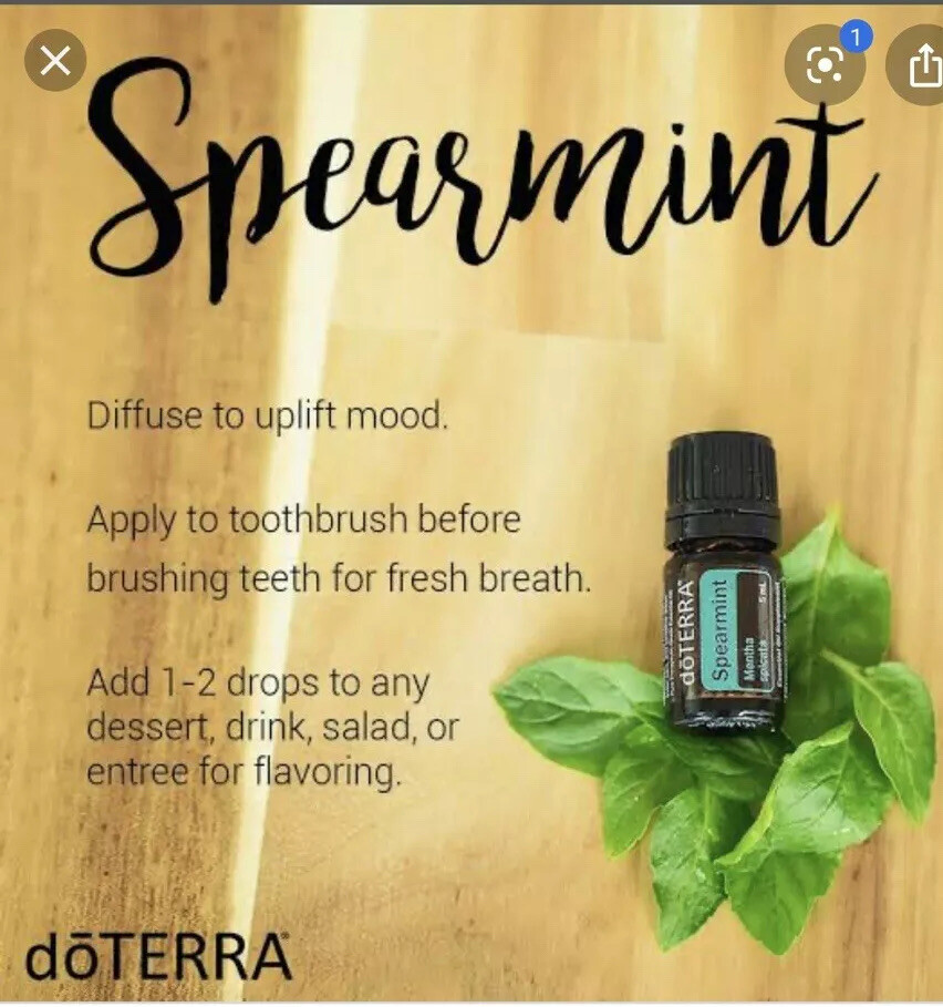 doTERRA Spearmint 15ml Therapeutic Grade Pure Essential Oil ...