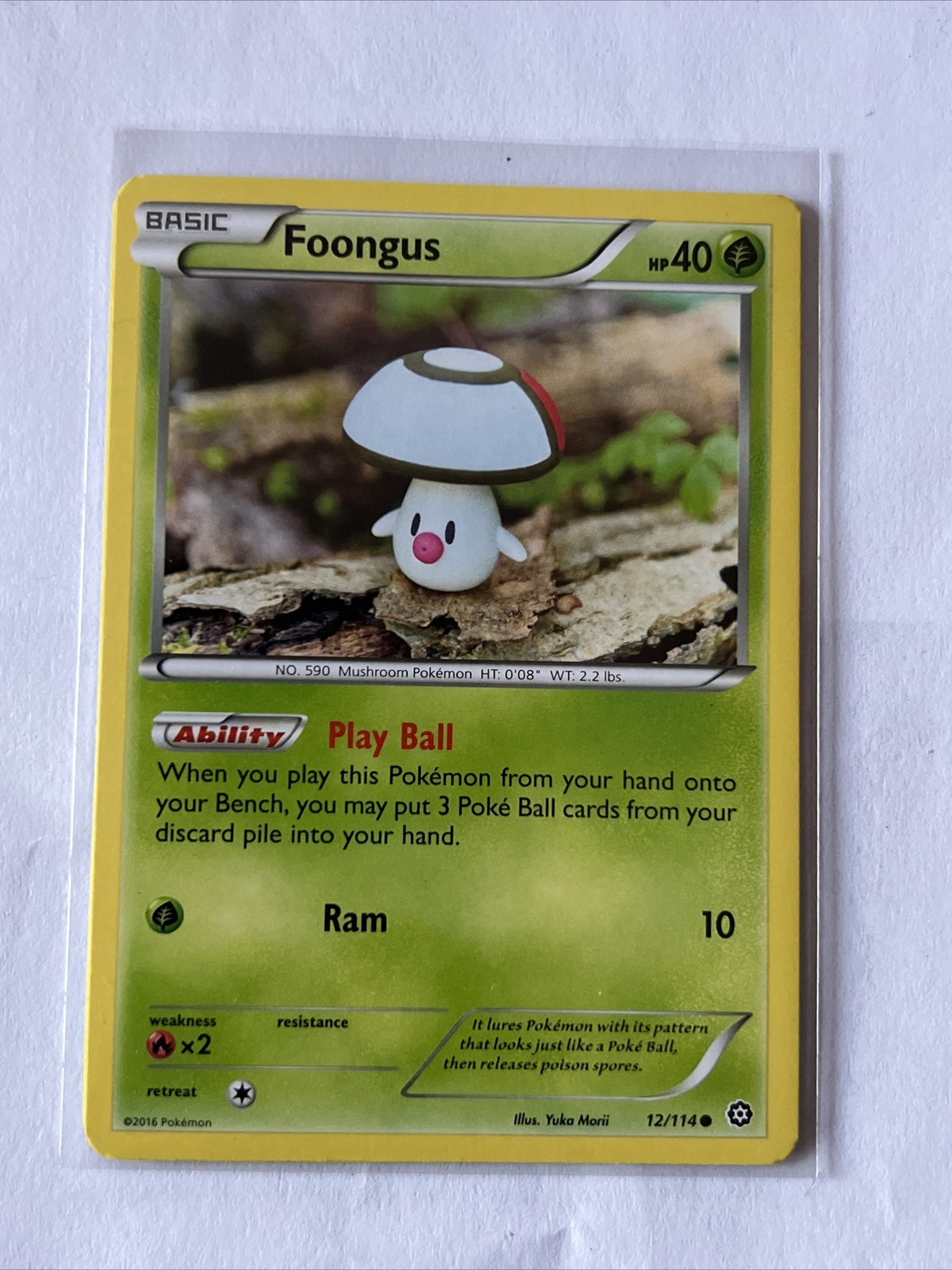 Pokémon TCG Foongus Steam Siege 12/114 Regular Common X1 | eBay