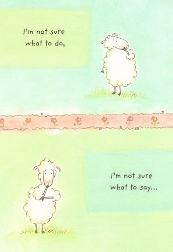 Encouragement Pray White Lamb Ewe Sheep Dayspring Really Woolly ...