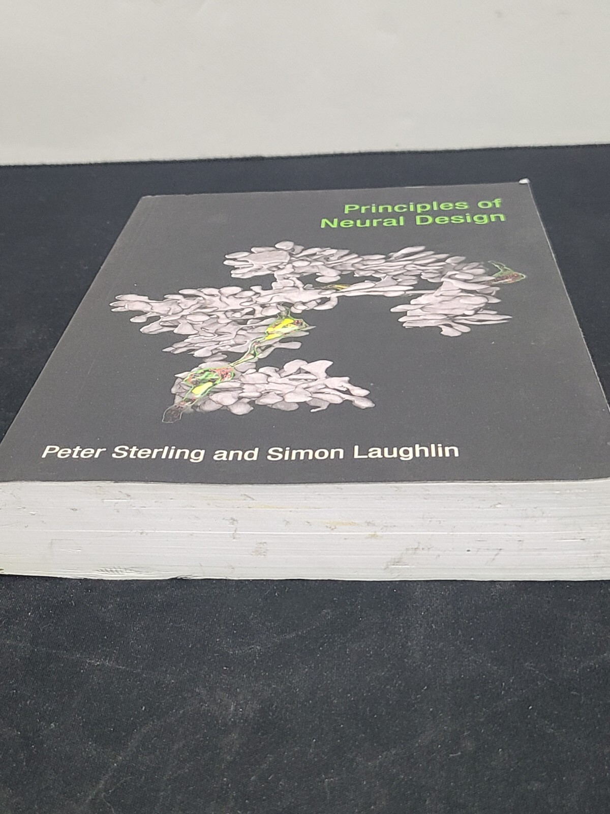 Principles of Neural Design by Simon Laughlin and Peter Sterling (2017 ...