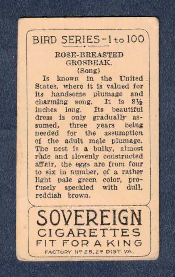 ROSE BREASTED GROSBEAK 1910 T42 Bird Series-Type 1 (WHITE BORDER ...