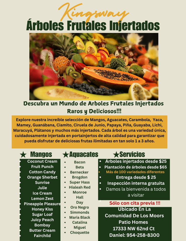 Delicious Rare Zill M4 Coconut Flavored Grafted 3 gallon Mango Tree 2-3 ...