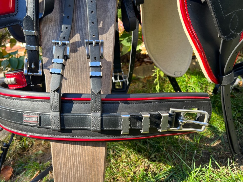 Leaders Trade/Gypsy Carriage Driving Harness | eBay