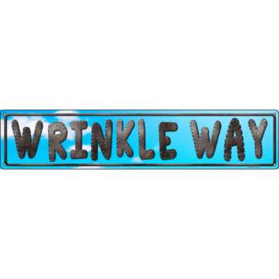 Wrinkle Way Novelty Metal Street Sign ST-416 | eBay