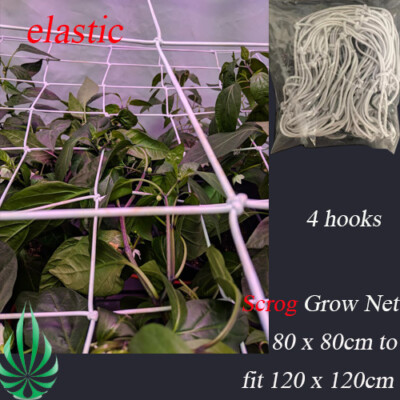 Hydroponic Grow Net Elastic Plant Support Netting 80x80cm to fit in ...