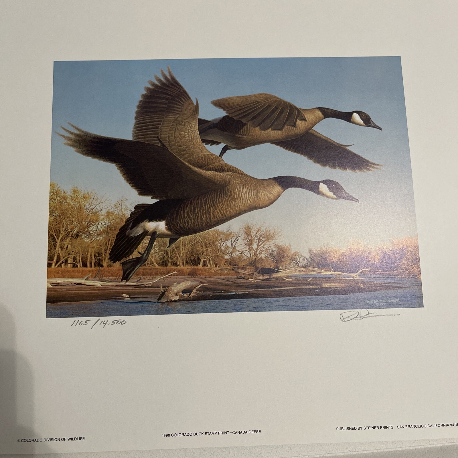 1990 Colorado First of State Duck Stamp Print by Robert Steiner + STAMP ...