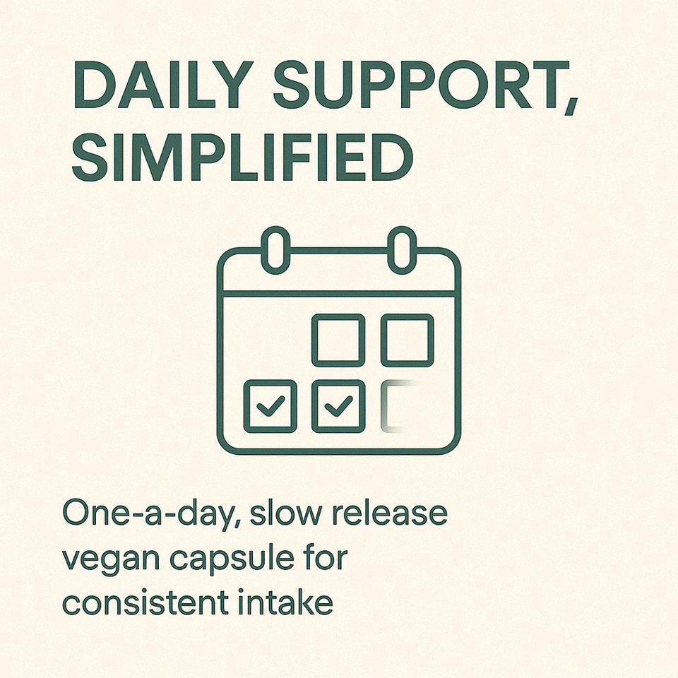 Serrapeptase • 300,000SPU (High Strength) • Slow-Release Capsules ...