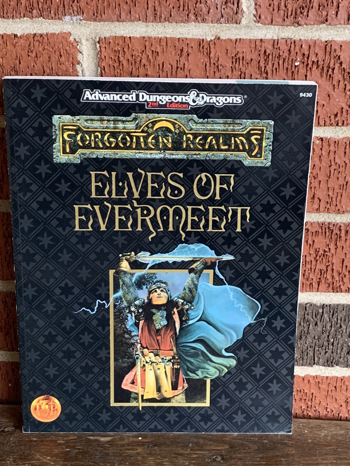Elves of Evermeet Advanced Dungeons & Dragons Forgotten Realms 2nd ...