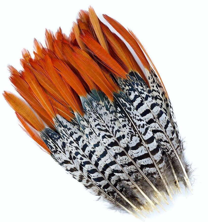 LADY AMHERST PHEASANT Feathers 4-40 Inches ALL TYPES Craft/Bridal ...