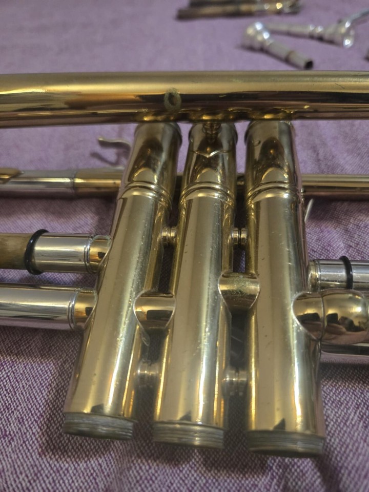Bach Stradivarius Professional B-flat Trumpet - Vintage + Torpedo Case ...