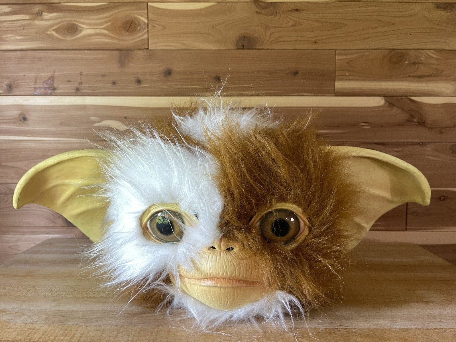 Gremlin Gizmo Latex Deluxe Mask Halloween Trick or Tr… - Gem