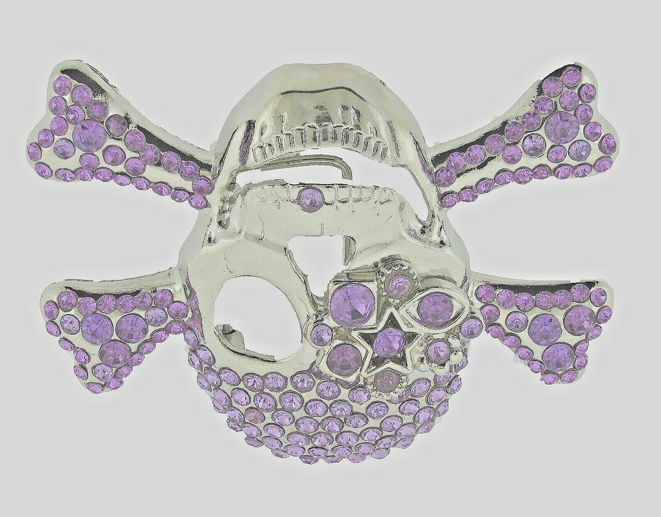 Skull Belt Buckle Crossbones Skeleton Rhinestones Purple Metal Cosplay ...