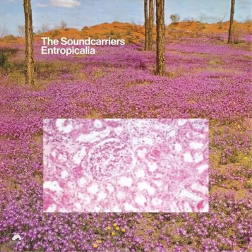 The Soundcarriers Entropicalia (CD) Album 9501683949323 | eBay