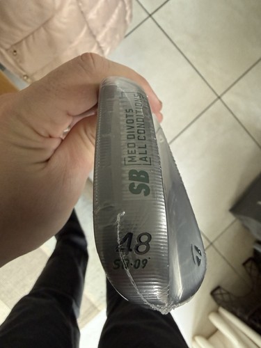 Taylormade MG4 48/09SB Wedge Dynamic Gold 115 Wedge Flex Steel ...