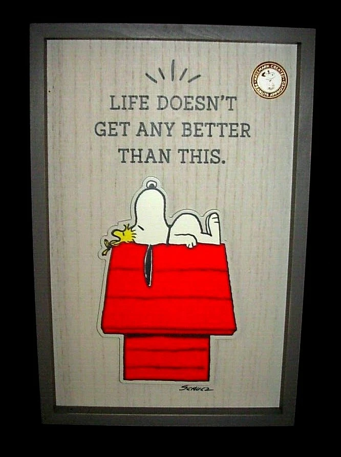 Snoopy Quotes About Life