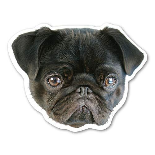 black Pug Magnet By Is 4 7/8" X 4 3/4" Made For Vehicles And Refrigera ...