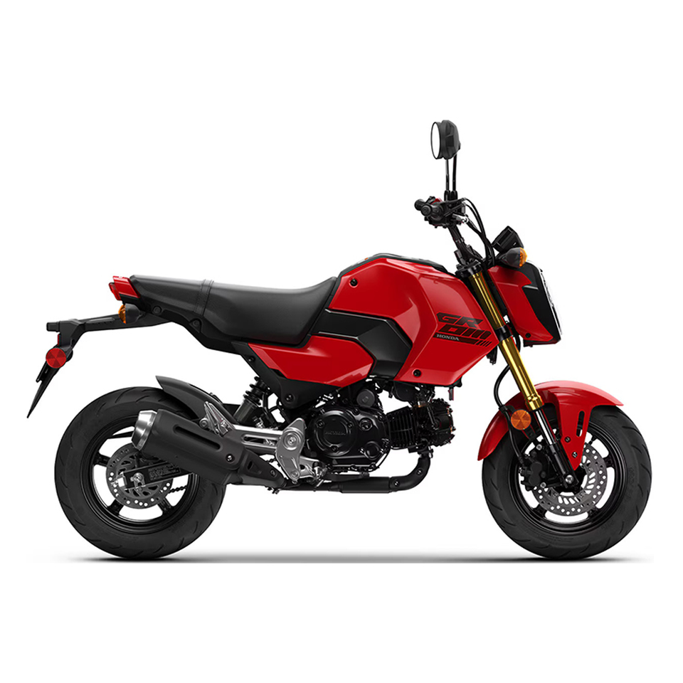 FORK COVER SHOCK ABSORBER GUARD PROTECTOR CARBON FOR NEW HONDA GROM 125 ...