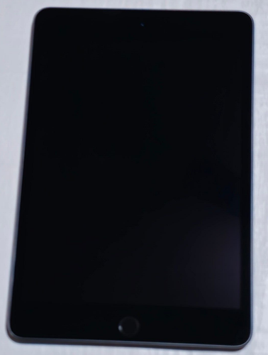 Apple iPad Mini (5th Generation) 64GB, Wi-Fi, 7.9in - Space Gray - Very ...