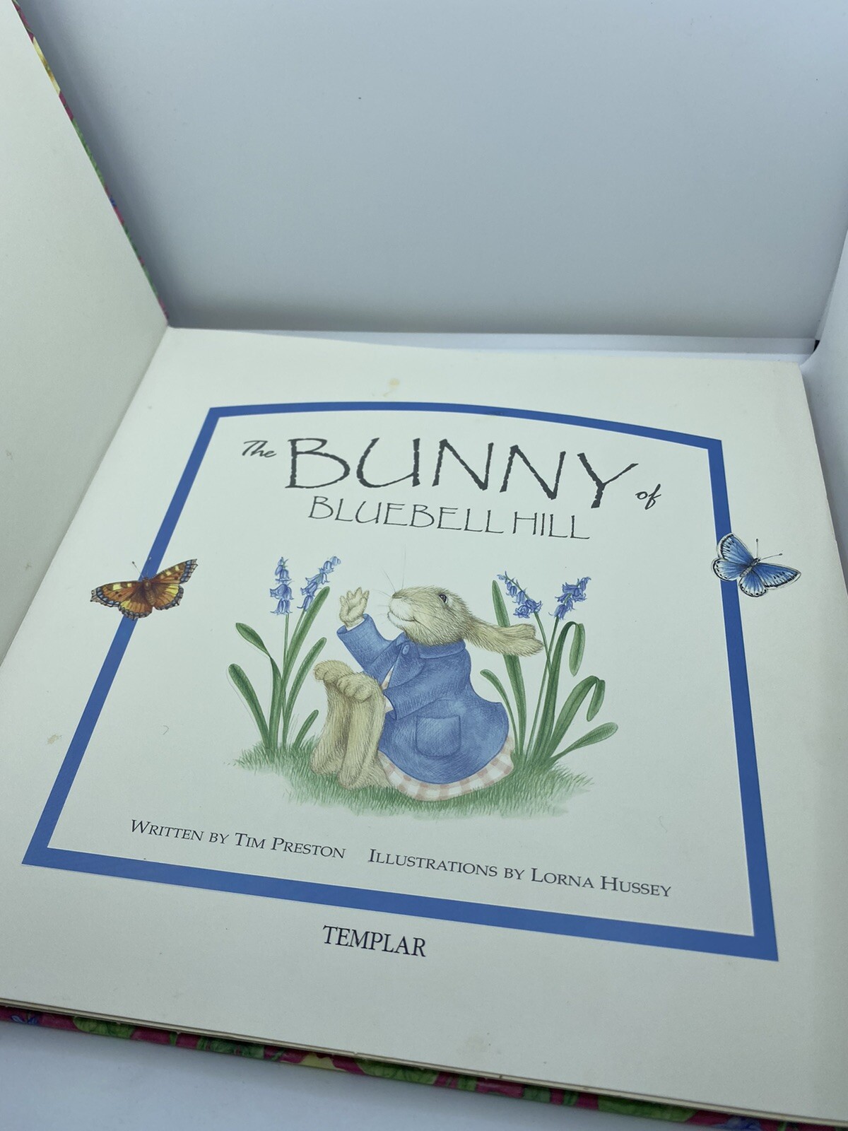 The Bunny Of Bluebell Hill - Children's Illustrated HC Book Tim Preston ...