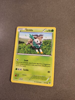 Pokémon TCG Skiddo XY 18/146 Regular Common a1 | eBay