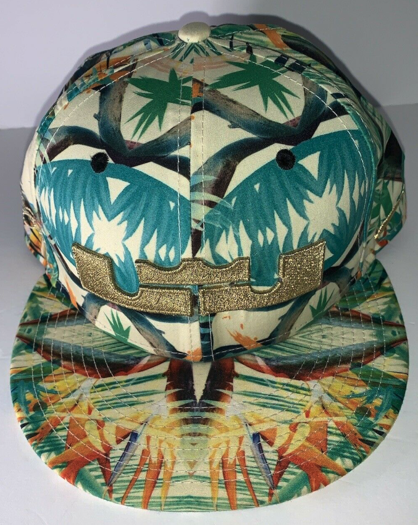 Lebron James Celebration Pack