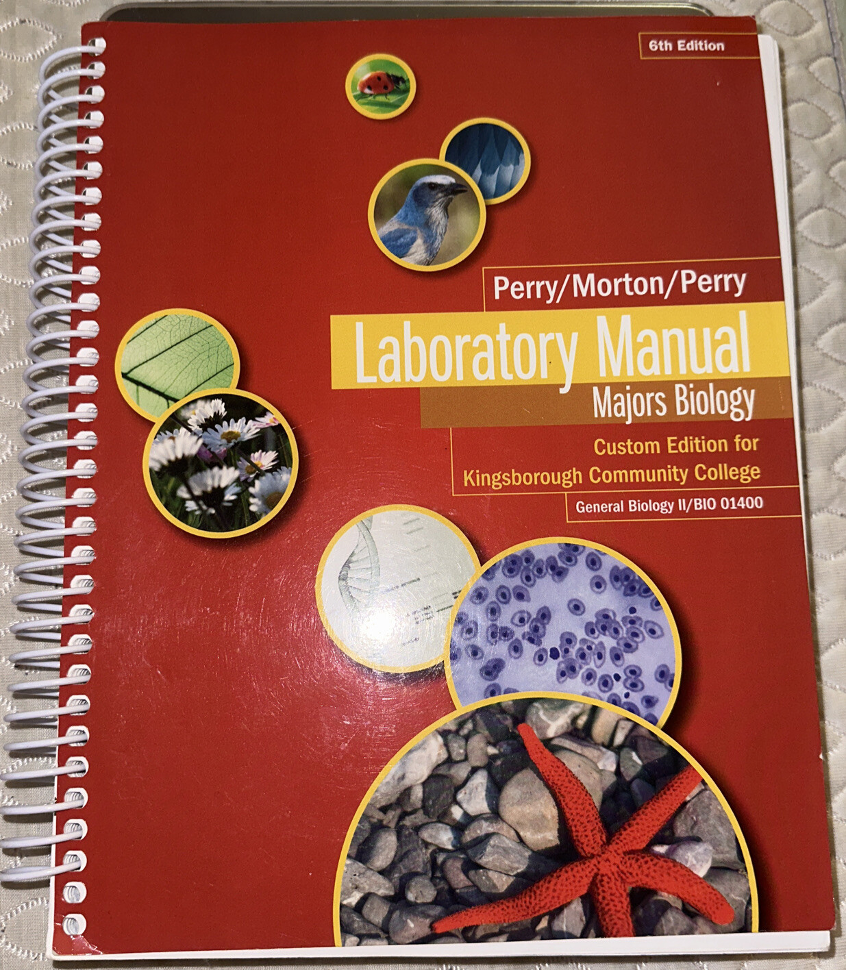 Laboratory manuel perry morton majors biology kbcc edition Gen bio 2/01400 6th E | eBay