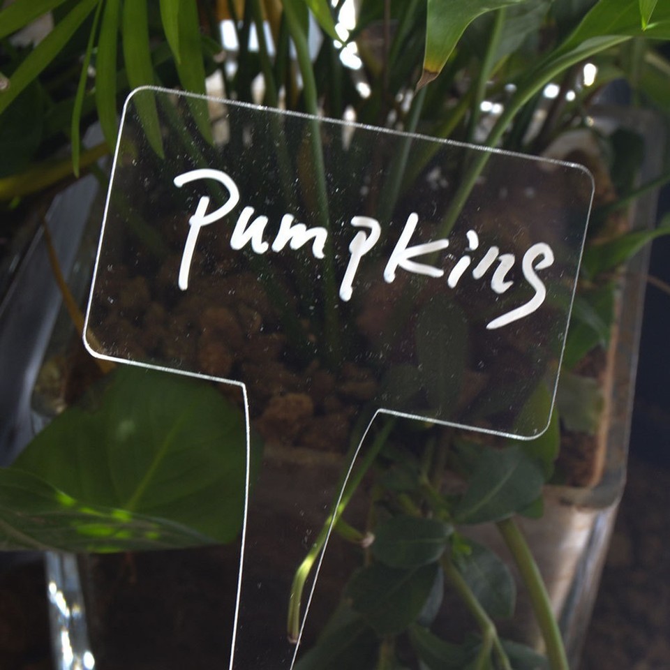 Herb Signs 12pcs Label Plate Label Sheets Transparent For Outdoor Pots ...