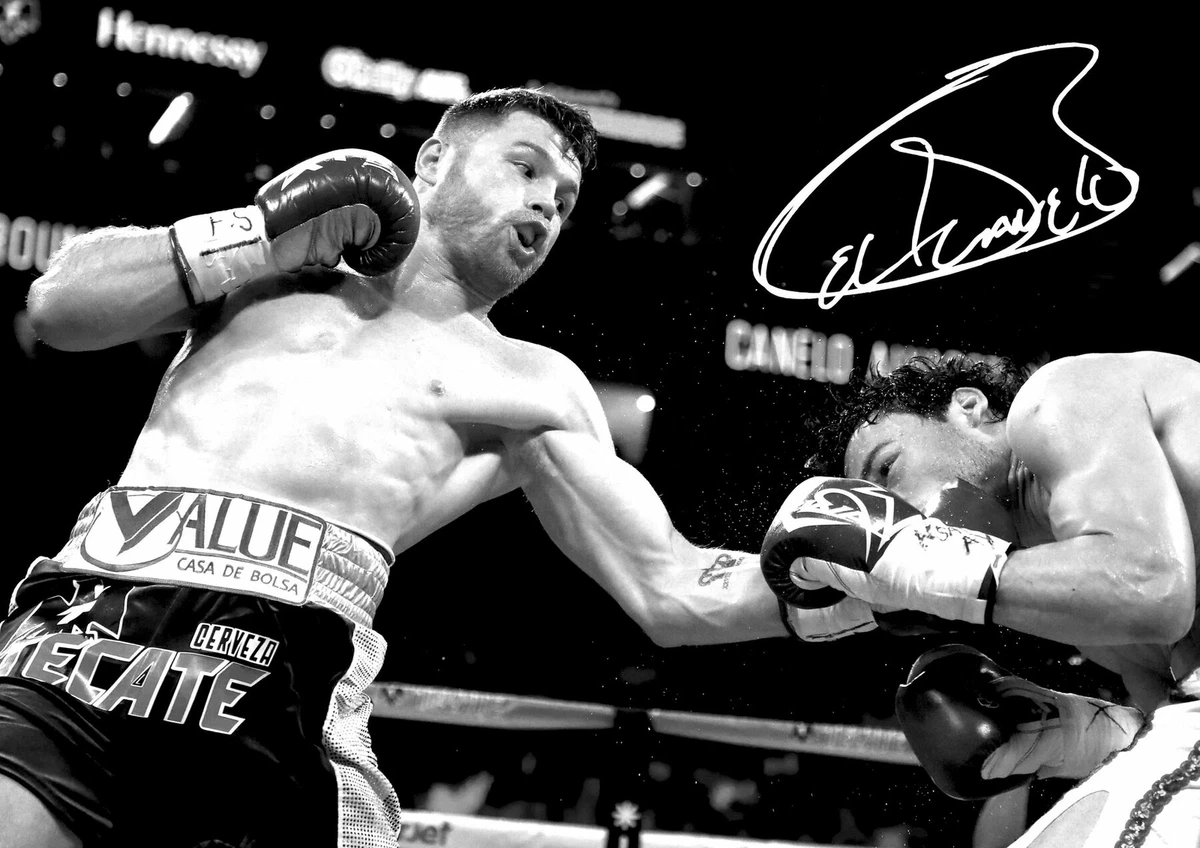 White Mexican Boxer