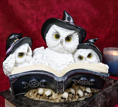 Arctic White Snow Owls With Witch Hats And Triple Moon Magic Spellbook ...