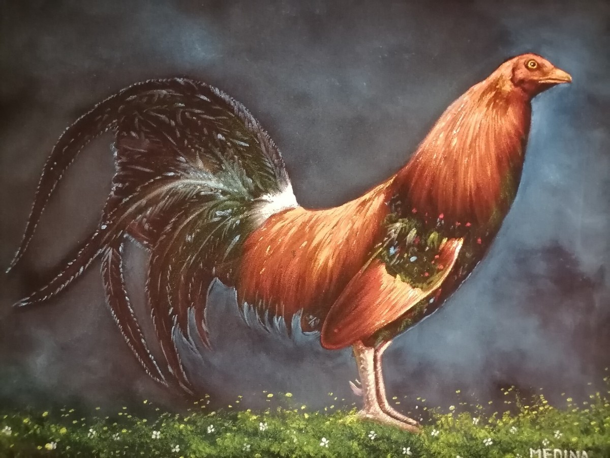 Gallo S De Pelea Gallery GALLO GIRO PAINTING ,HAND PAINTED, VELVET