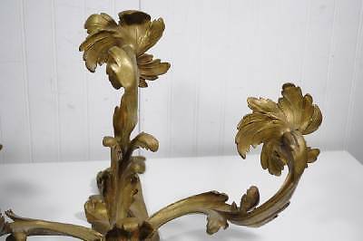 Stately Antique 19th C French Bronze Acanthus Rococo Candle Holder Wall ...