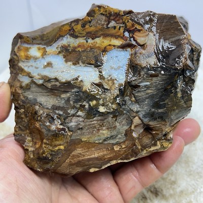 2lb 8oz Old Stock Biggs Picture Jasper Lapidary Rough | eBay