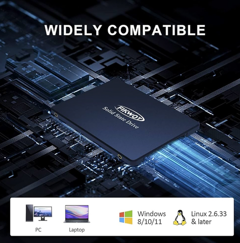 FS810 1TB 500TB 250TB SSD 2.5 Inch Internal Solid State Drive - SATA ...