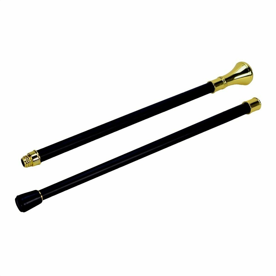 Battle of Iwo Jima Walking Stick Cane - USMC - United States Marine ...