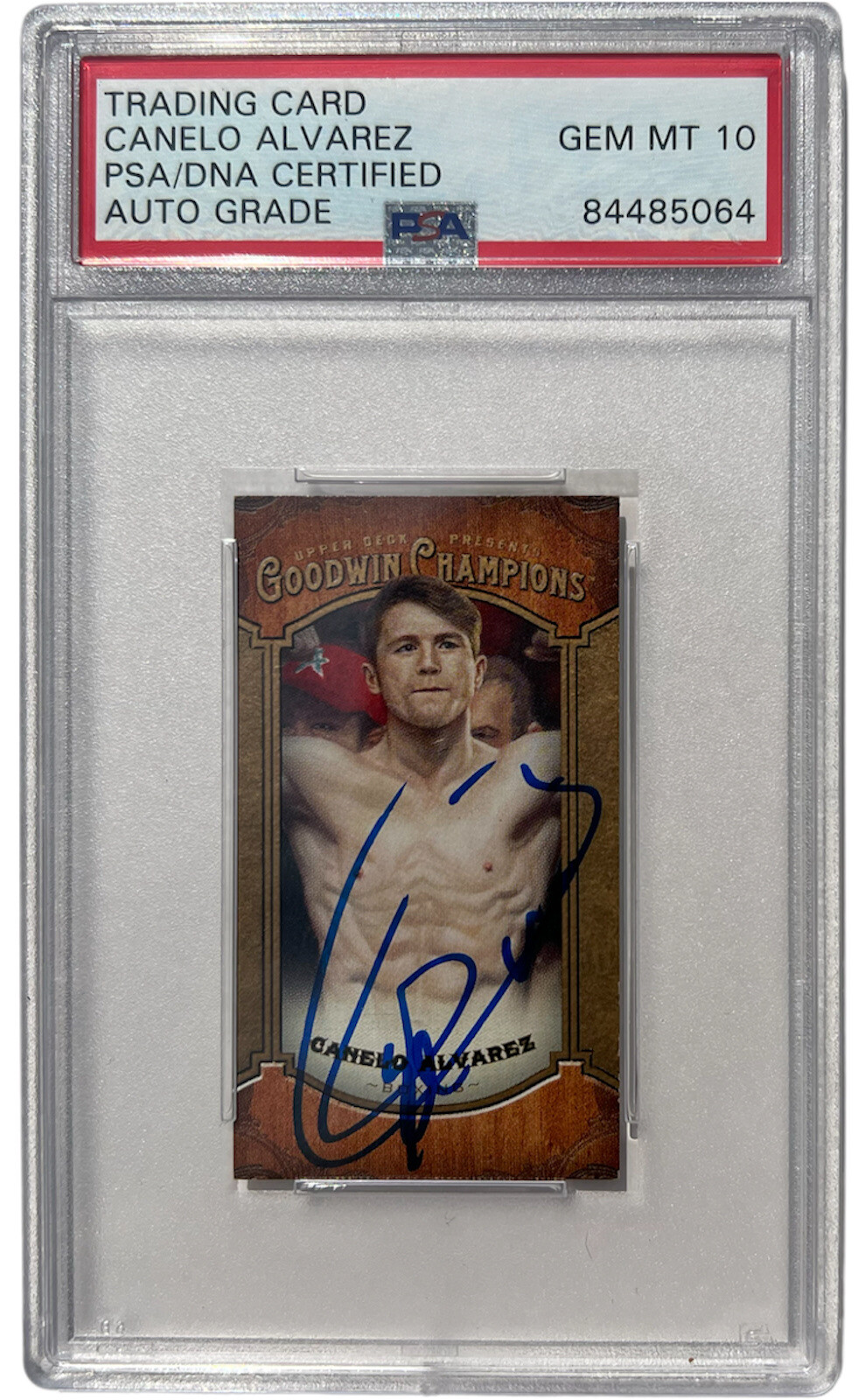 Canelo Alvarez | Player