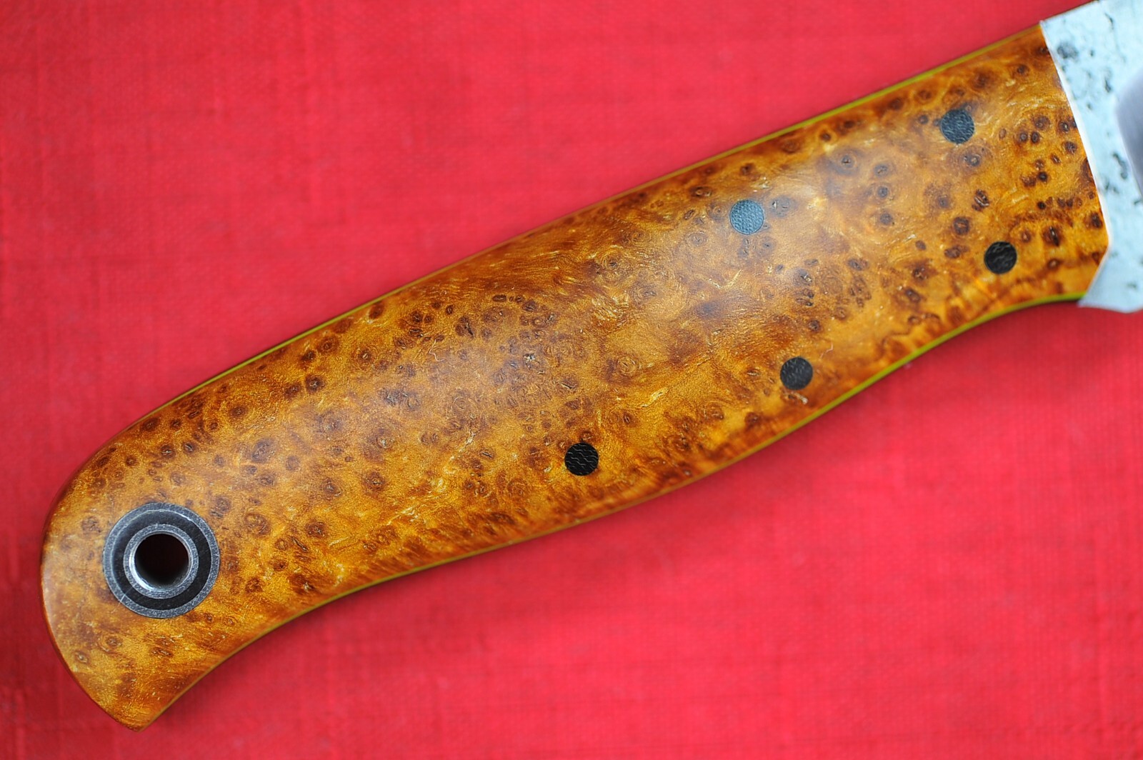 Fiddleback Forge Bushcrafter by Andy Roy .15" A2 Blad, Full Birdseye ...