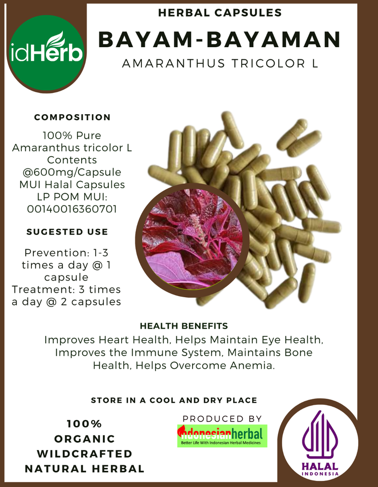 [idHerb] 100-800 Capsules Joseph's coat Tampala Amaranthus Tricolor L ...