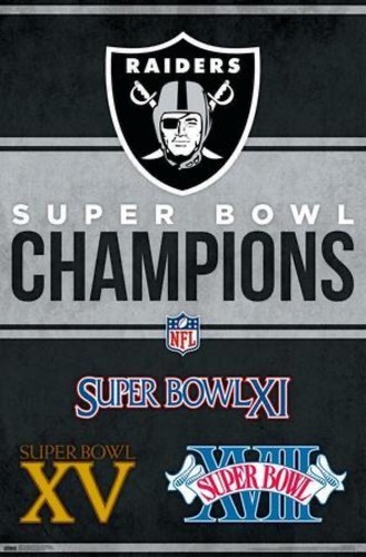 NFL Football Team Logo Poster Art Print Metal Sign 12X8in Wall Decor ...